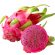 RED MEAT DRAGON FRUIT – City Farmers Market